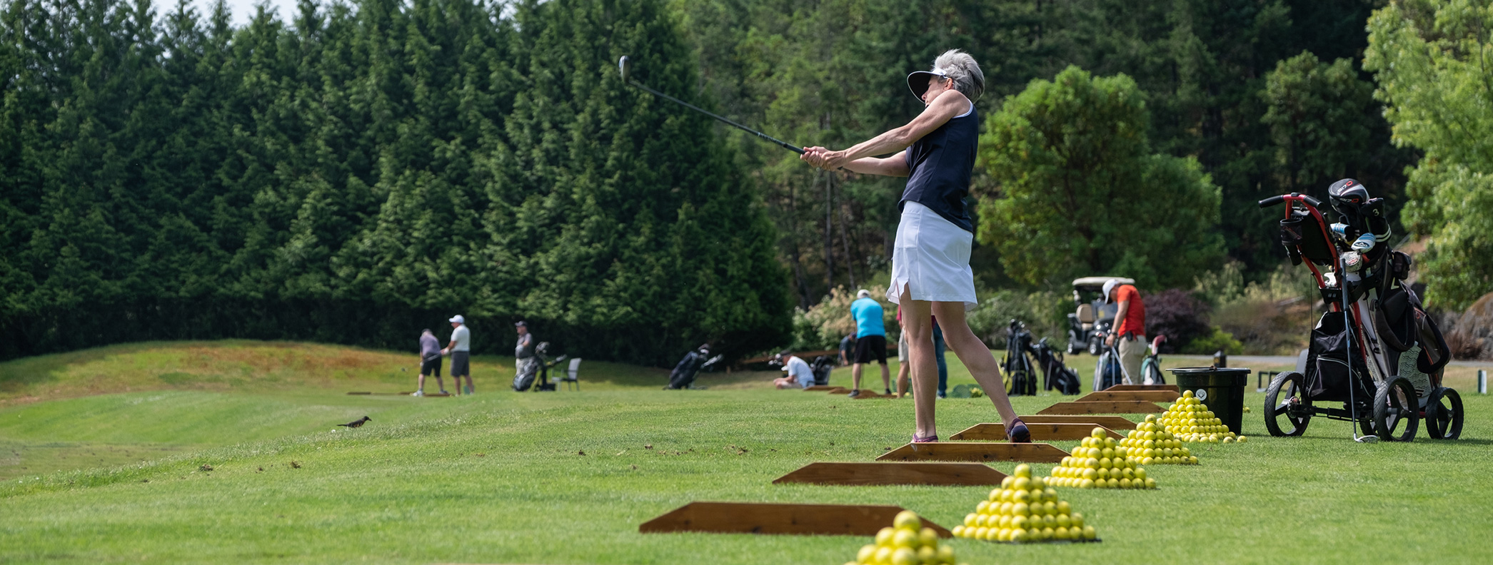 Olympic View Golf Academy - Golf Lessons & Group Programs in Victoria ...